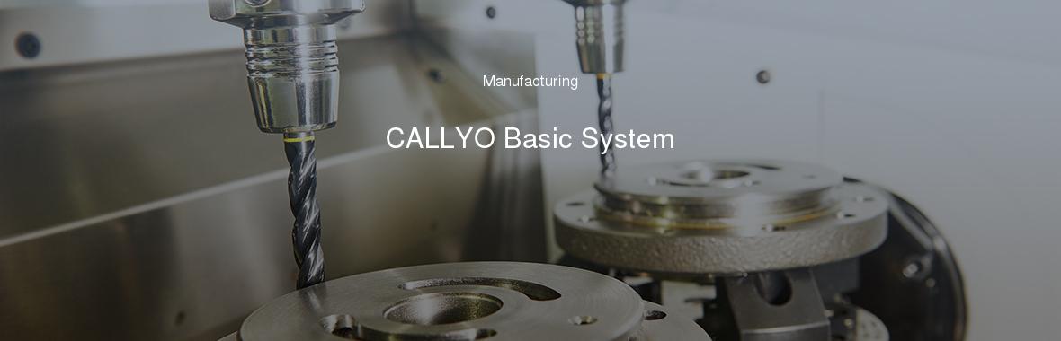 CALLYO Basic System